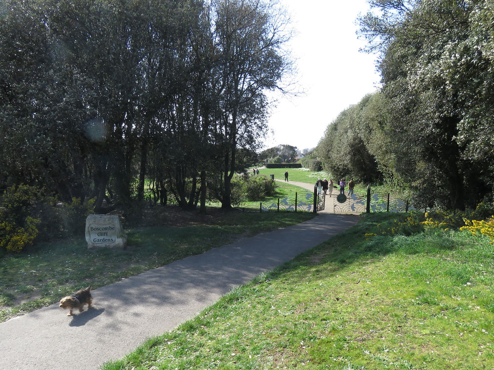 Walk#1: Boscombe Chine