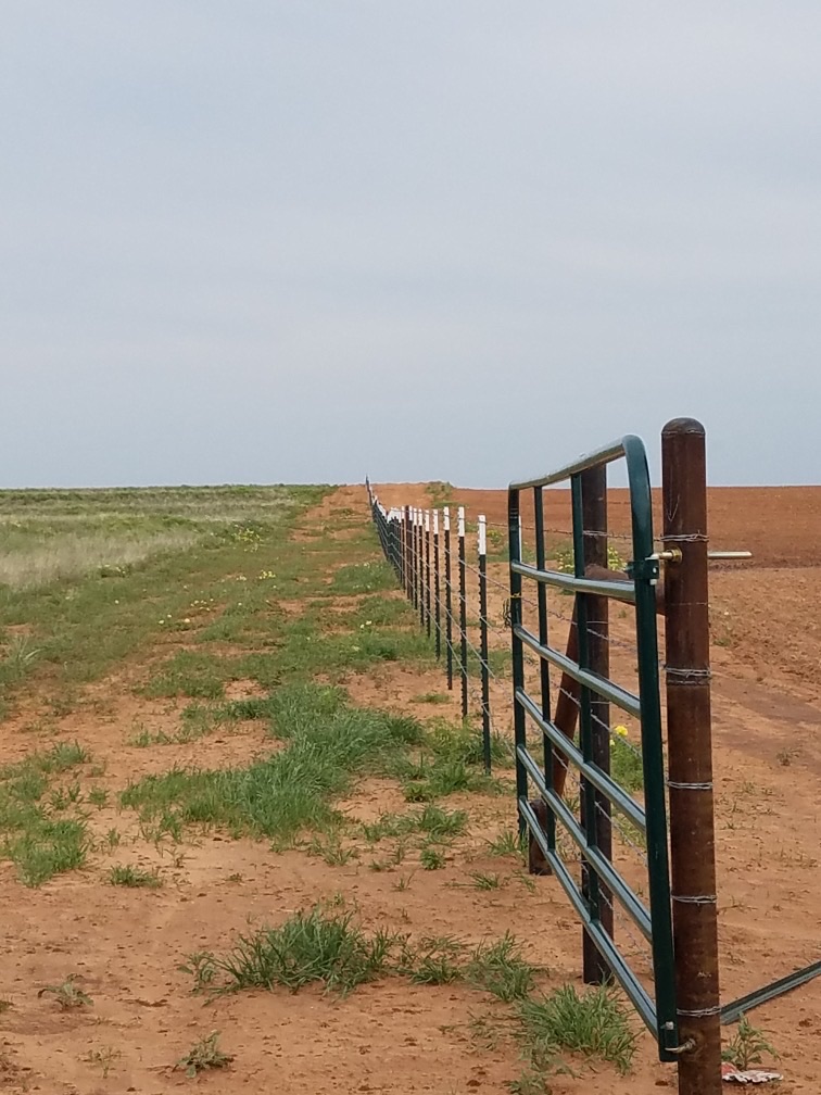 Farm Fencing | Goldsmith Fencing LLC | Baird, Texas