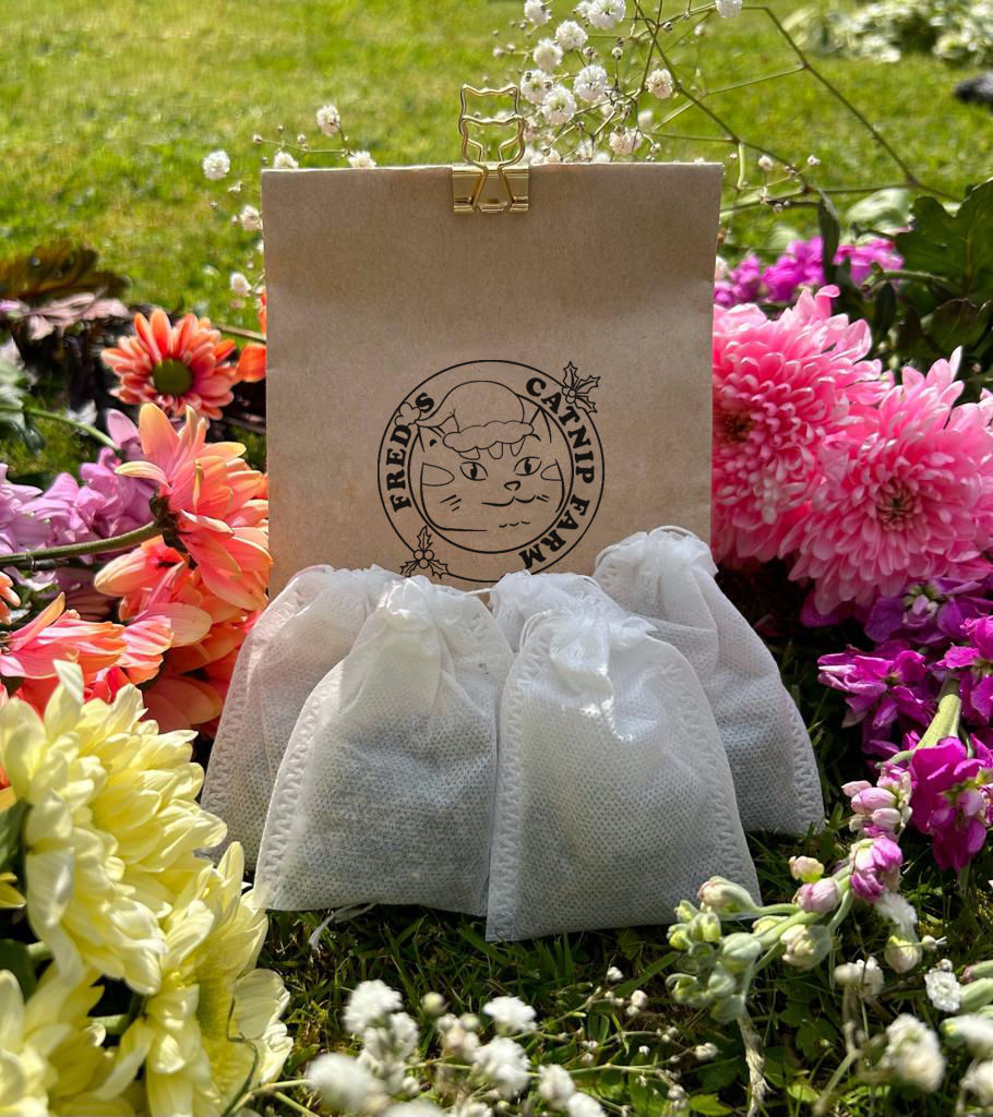 Catnip Toys | Cat Gifts