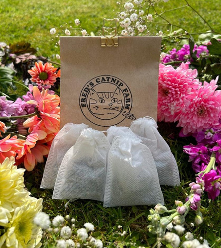 Catnip Tea Bags | Organic Catnip