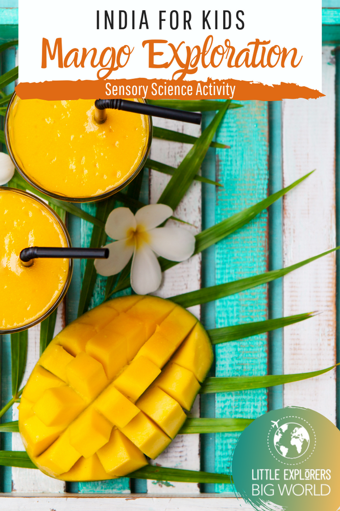 India: Mango Sensory Science Activity