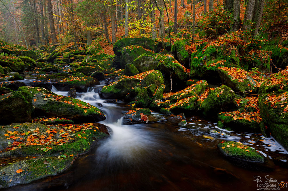 Erlebnis Bayerischer Wald
