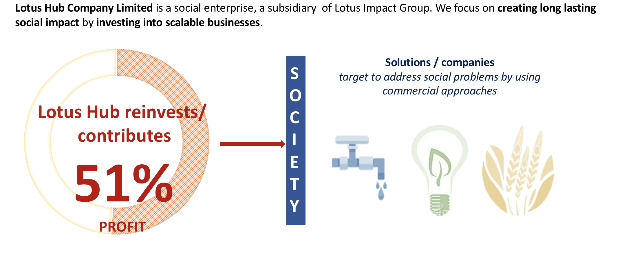 Lotus Fund | Portfolio