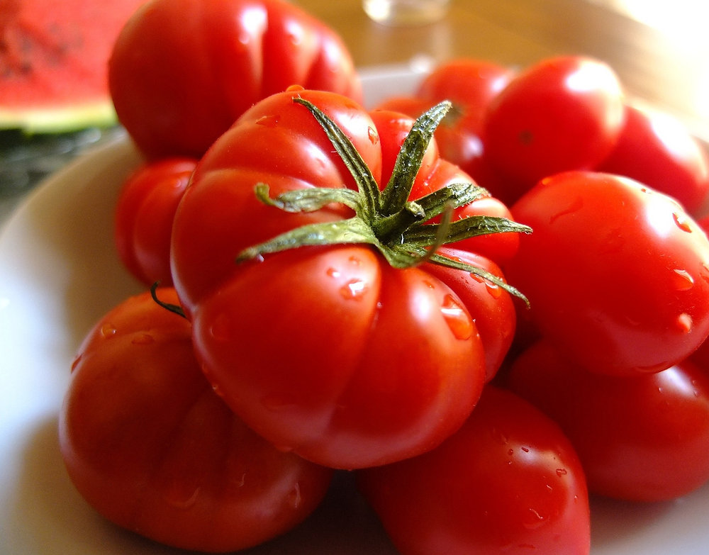 How to Grow Productive Tomatoes