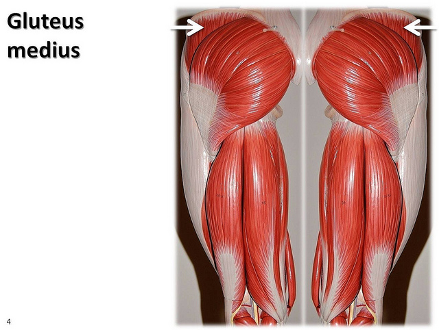 I MIGLIORI ESERCIZI PER I GLUTEI
