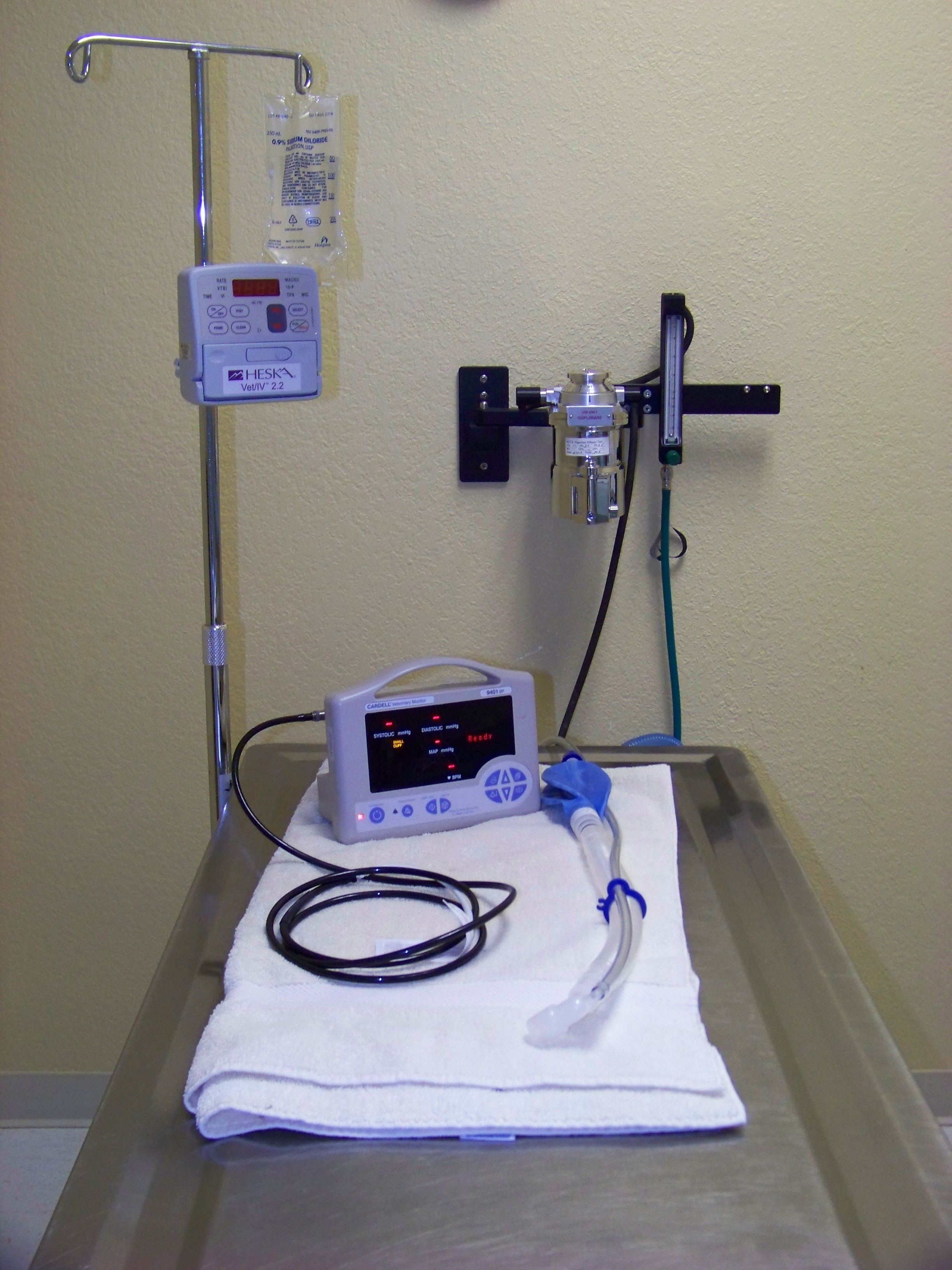 Surgery | Cat Clinic of Folsom