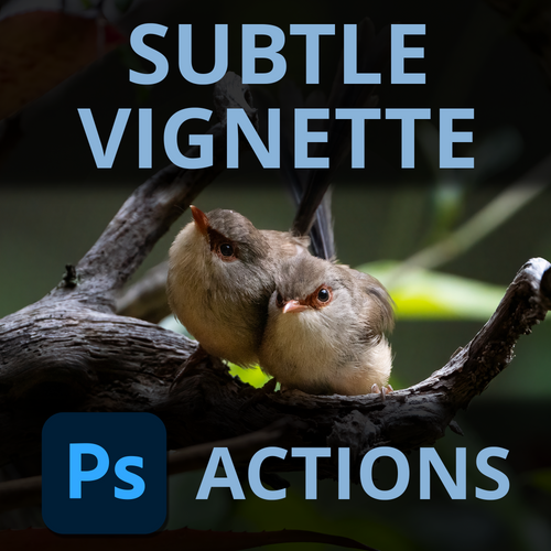 Subtle Vignette Photoshop Actions Pack | Barry Callister Photography