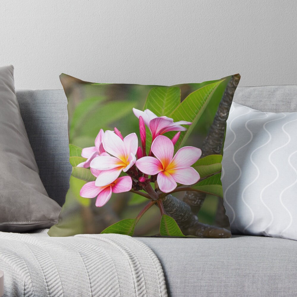 5 Vibrant And Unique Cushion Covers For Adding That Tropical Feeling To ...