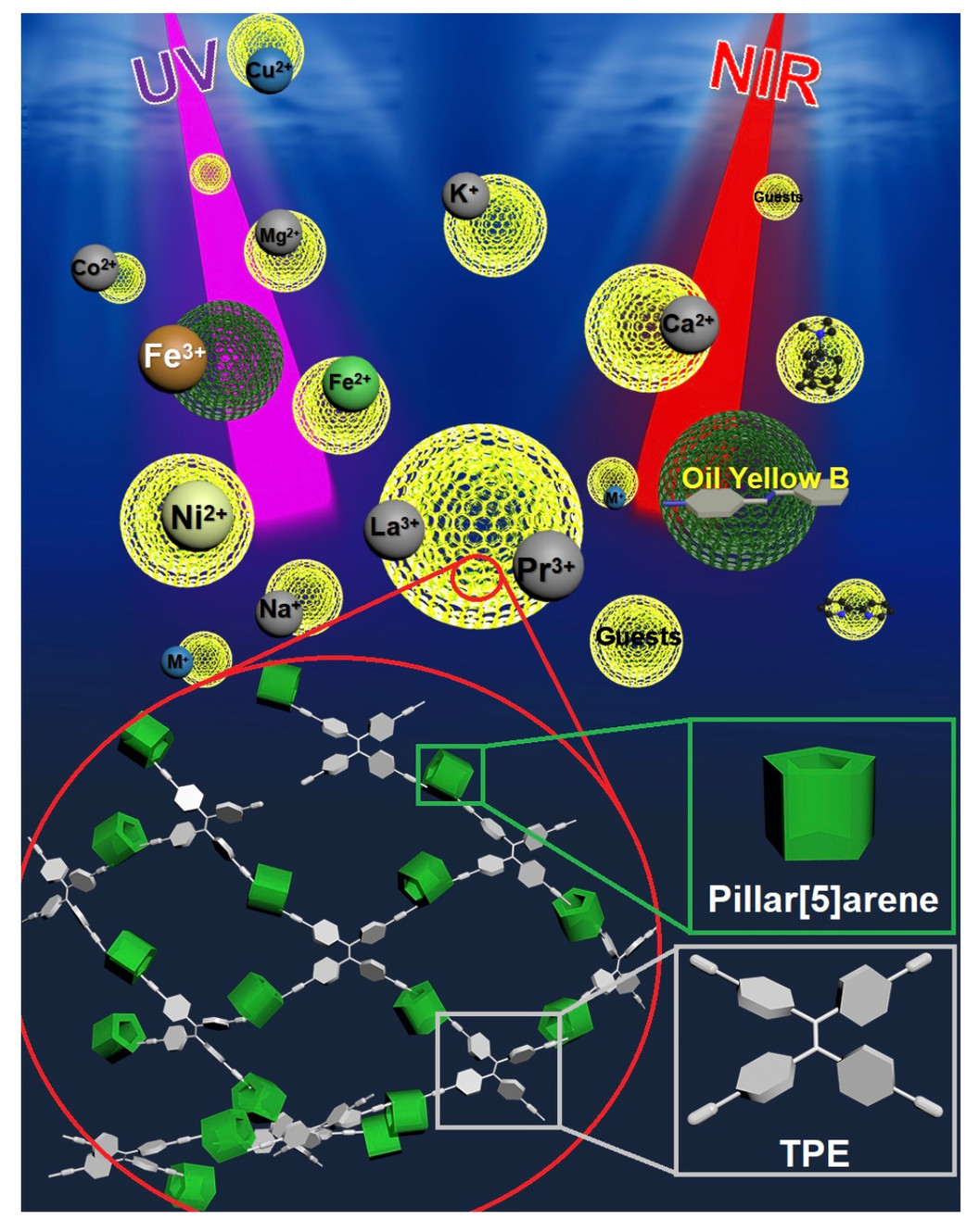 Conjugated Macrocycle Polymer