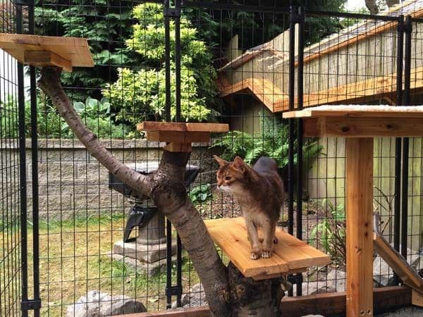 Cawthorne Cat Hotel Blog: Outdoor Balconies and “Catios” for Indoor ...