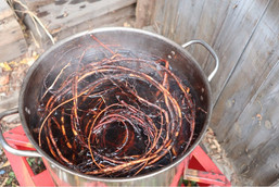 Guardian Program | Wahkohtowin Development GP Inc.