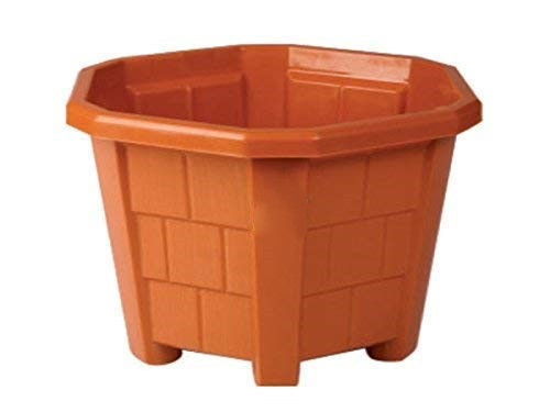 Hexagonal Pot | Jonjo Seeds