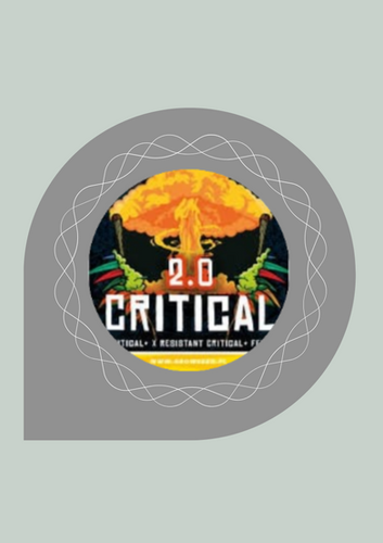 Critical 2.0 FEM | Jonjo Seeds