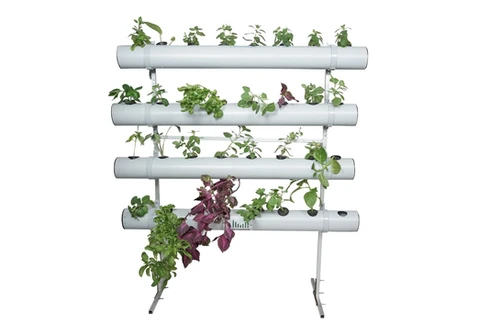 Hydroponic System for 32 Plants - DFT ( Deep Flow Technique ) | Jonjo Seeds