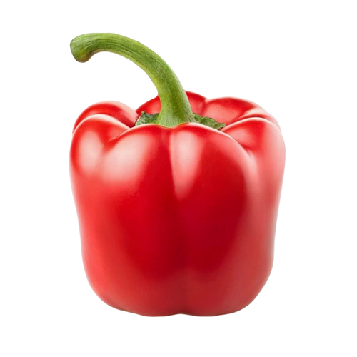 Capsicum Red | Jonjo Seeds
