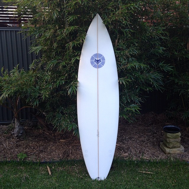 Fox Surf News and Gallery.