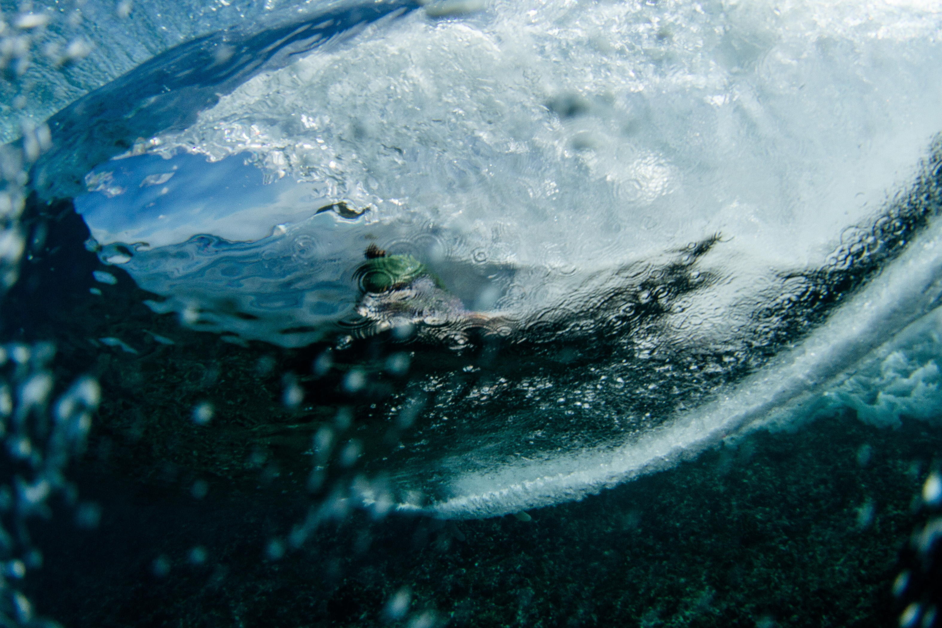 Fox Australia | Coolangatta | Fox Surf