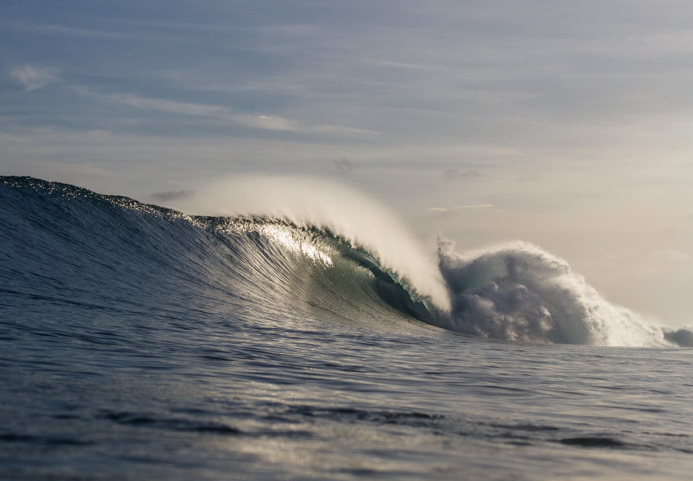 Fox Australia | Coolangatta | Fox Surf