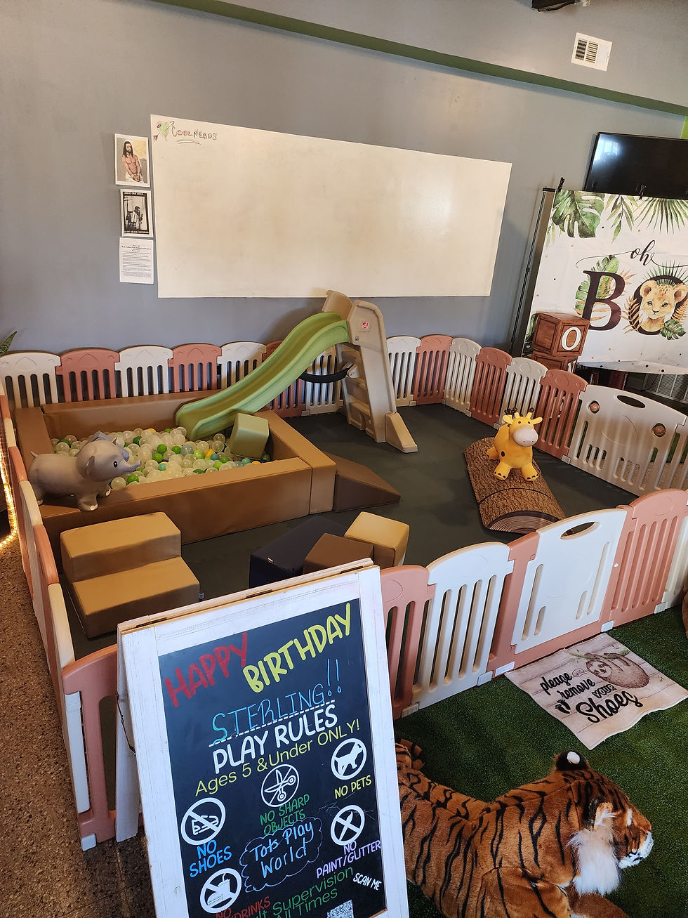 Tots Play World | Toddler Party Rentals | Memphis, TN