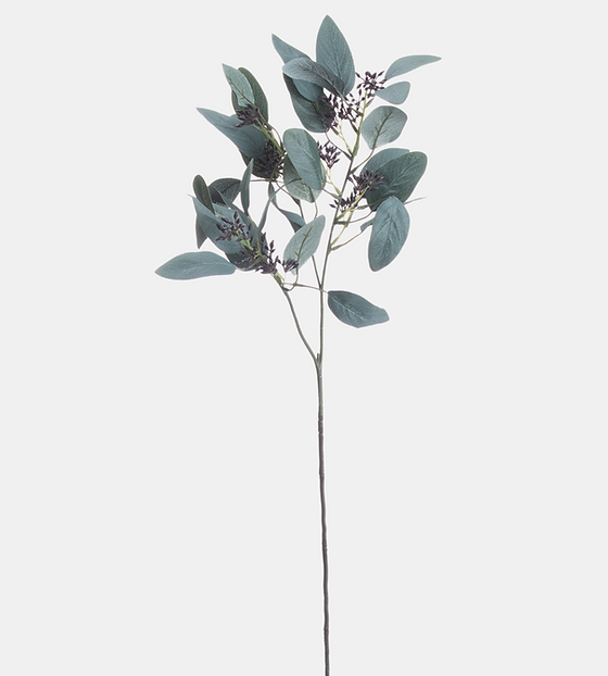 seeded eucalyptus uk