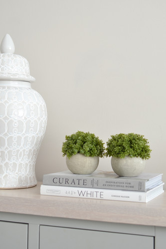 Miniature Hebe Pot | Nuco Home