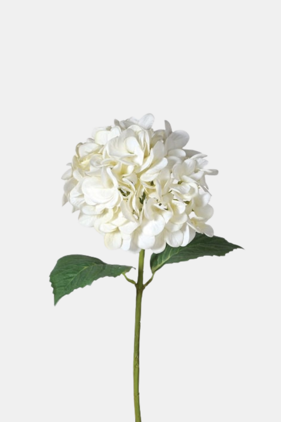 Shop the Look | Nuco Home