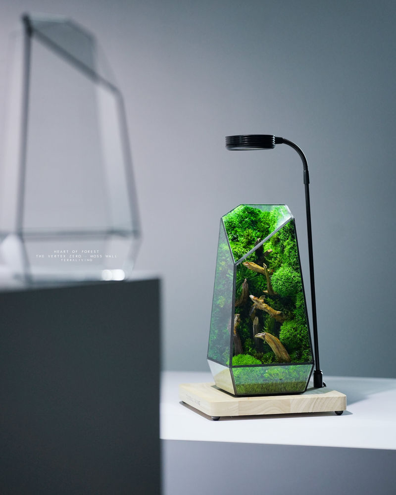 TerraLiving's Flagship Luxury Terrarium Design, The Vertex