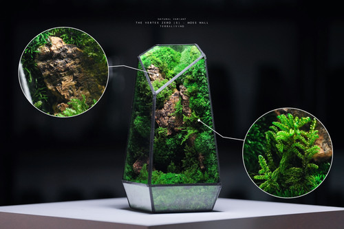 Ready to fly: The Vertex ZERO (S) - Pure Moss Wall,ZERO Preserved Moss ...