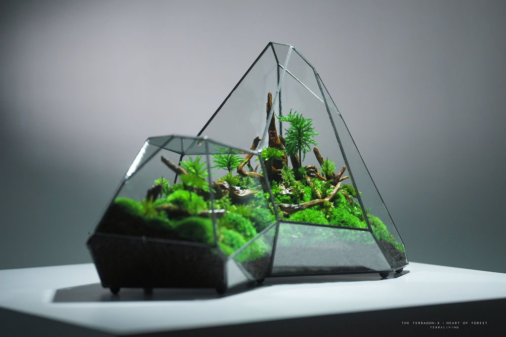 The Terragon - X, Luxury Preserved moss Terrarium by TerraLiving