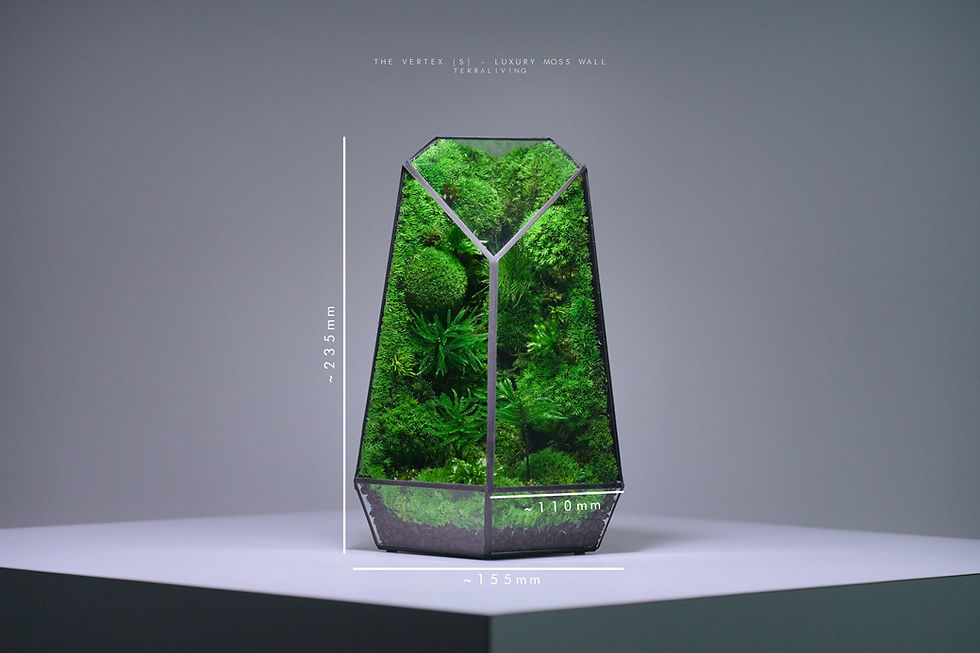 Preserved Moss Terrarium: The Vertex ZERO Classic (S) - Moss Wall ...