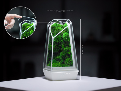 The Vertex II (S) - Luxury Moss Wall, ZERO Preserved Moss Terrarium ...