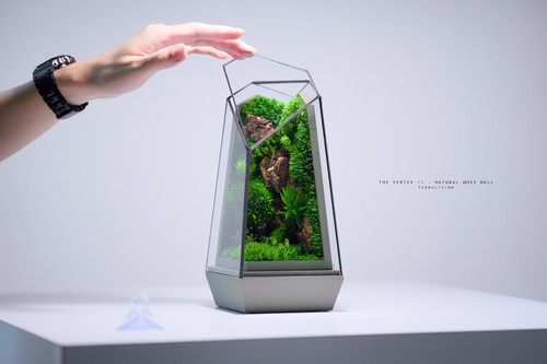 The Vertex II (S) - Natural Moss Wall, ZERO Preserved Moss Terrarium ...