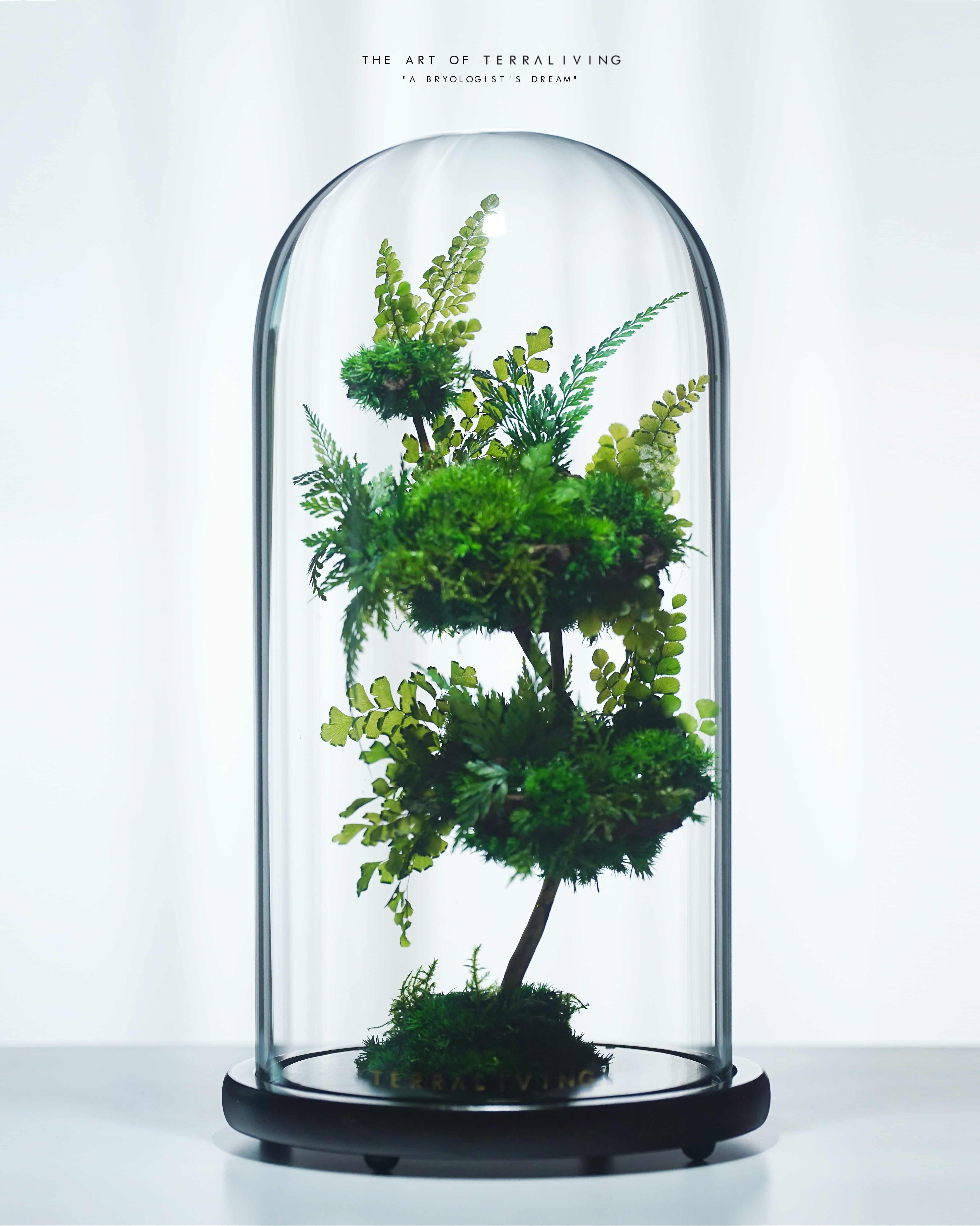 A Bryologist's Dream, Botanical Art Sculpture by TerraLiving