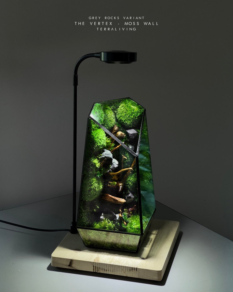 The Vertex - Grey Rocks Preserved Moss Terrarium by TerraLiving