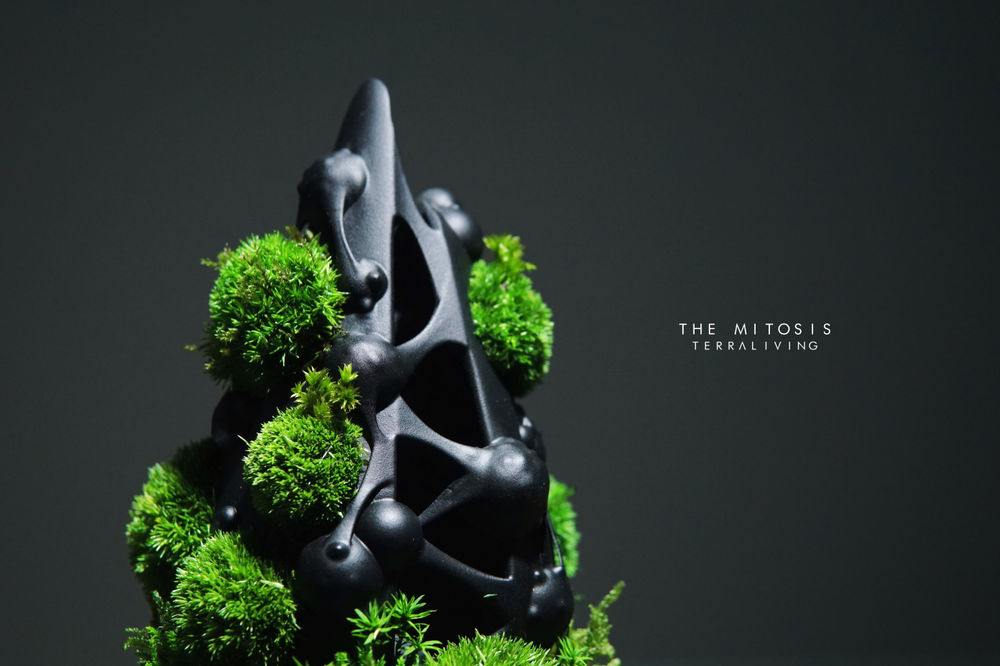 The Mitosis - Cytokinesis, A bioarchitecture & biomorphism inspired ...