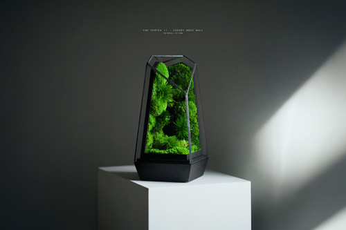 The Vertex II (S) - Luxury Moss Wall, ZERO Preserved Moss Terrarium ...