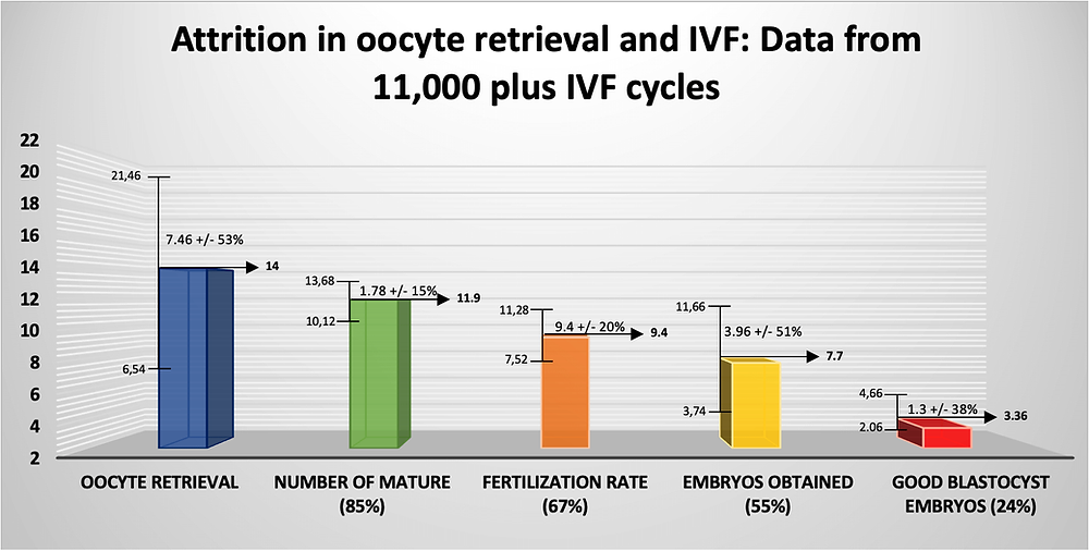 Attrition in oocyte retrieval and IVF: Data from 11,000 plus IVF cycles