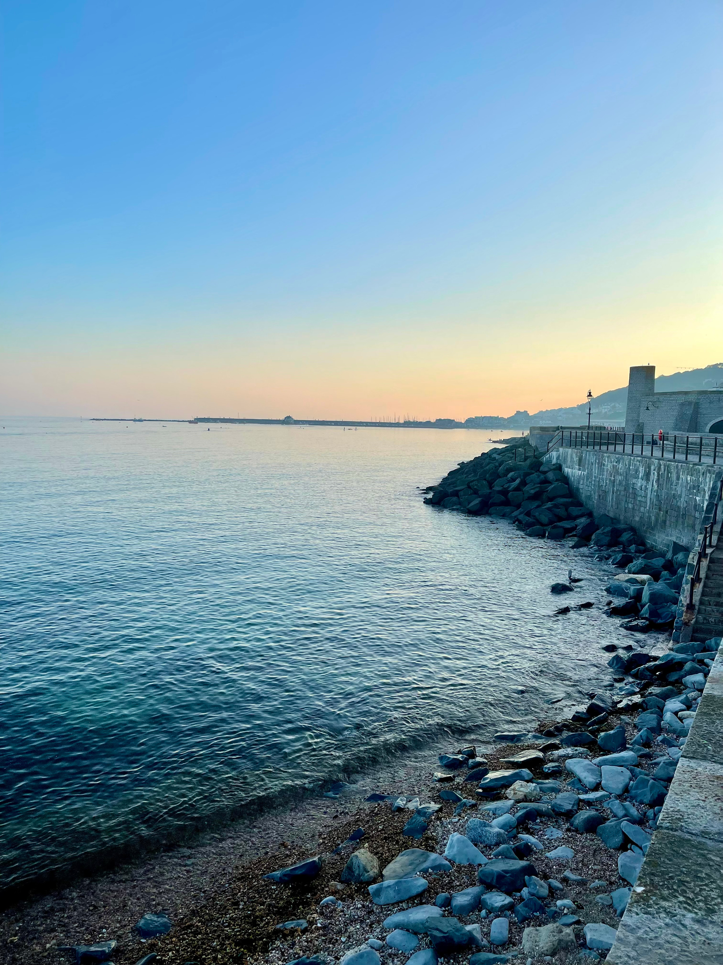 Whats on at Tom's | Tom's Lyme Regis