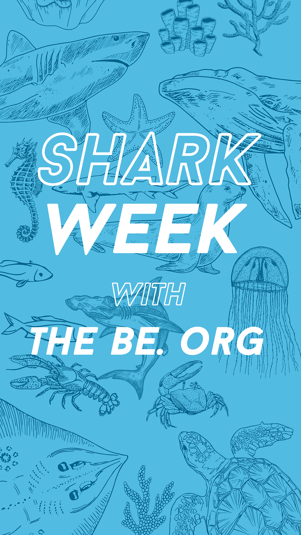 Celebrate Shark Week with these At-Home Activities and Educational ...