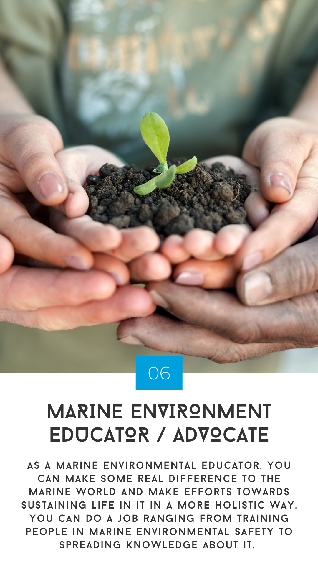 Celebrate Shark Week with these At-Home Activities and Educational ...