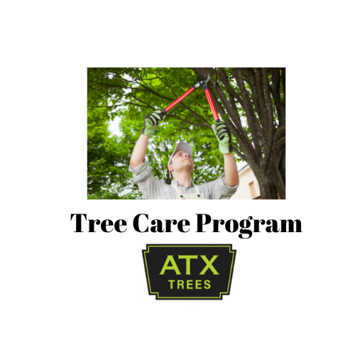 ATX Trees Tree Care Program | Tree Nursery in Dripping Springs, TX