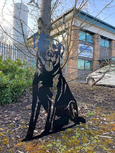 LABRADOR | ESP Laser Cutting