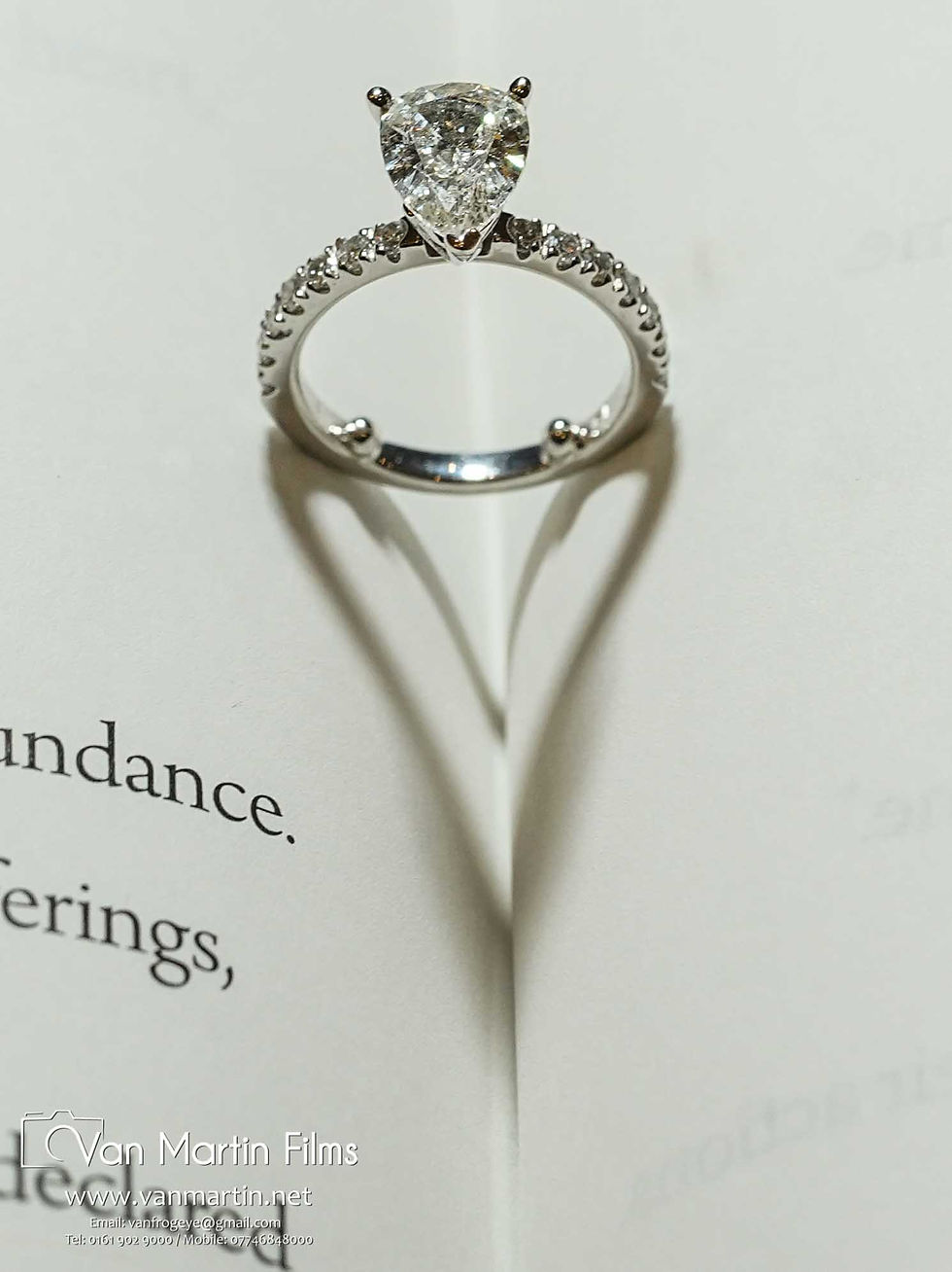 van martin photography, wedding photography