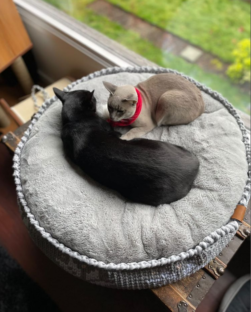 «The perfect cat room» by Fancy Meows