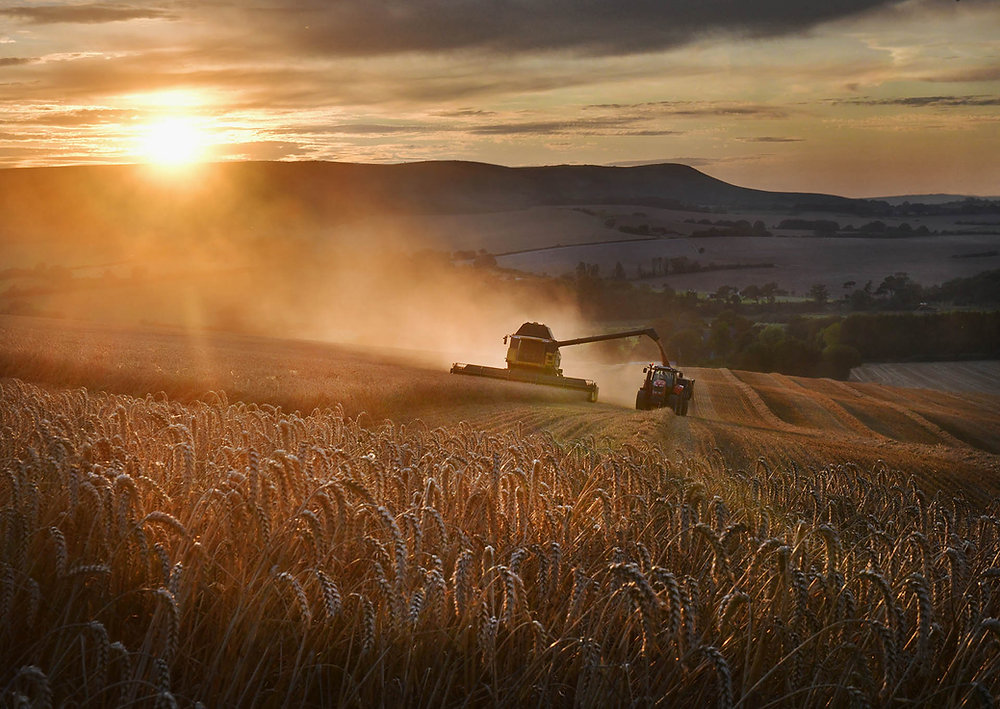 The Historical Significance Of The Harvest In Society