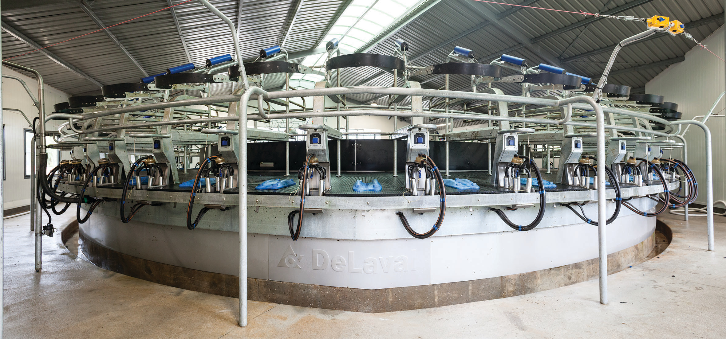 Milking Machine and Dairy Service and Installation / Delaval