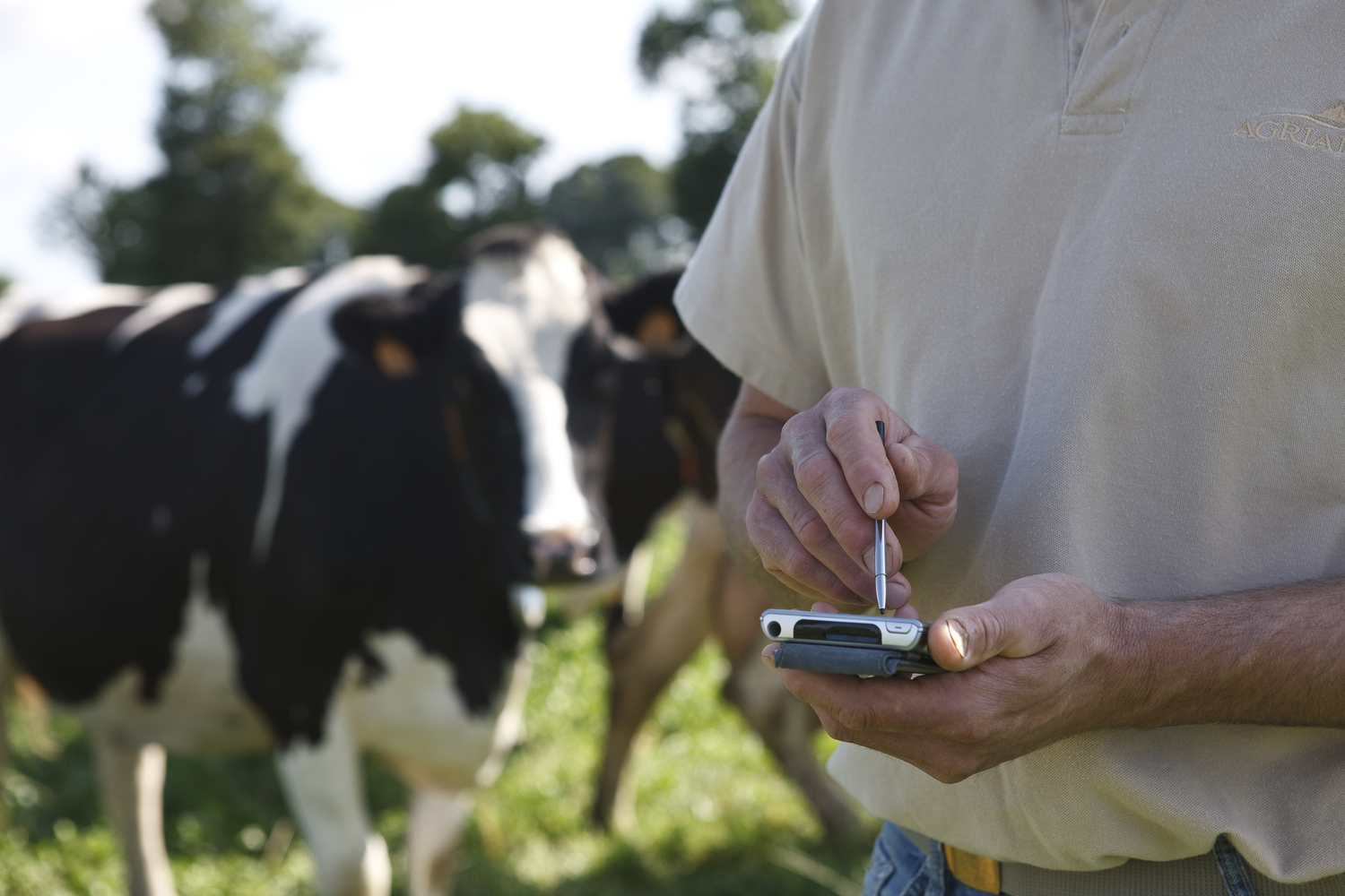 DeLaval dairy herd management systems – alpro