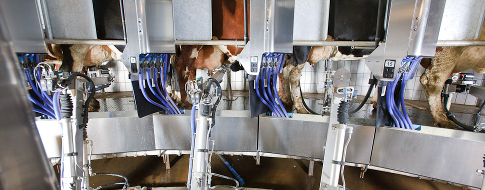 Milking Machine and Dairy Service and Installation / Delaval