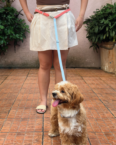 Porta Aqua Multiway Leash in Coral Breeze | Bobba's Backyard