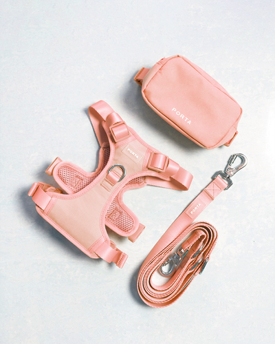 Porta Everyday Essentials Walk Set | Peach Fuzz | Bobba's Backyard